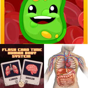 Practice: Multicellular Organisms and their Subsystems MS-LS1.A-3 ...