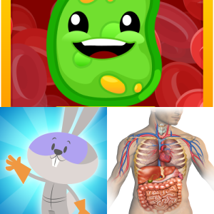 Game Based Learning: Multicellular Organisms and their Subsystems MS ...