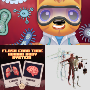 Free Educational Games: Human Body Systems S7L2.c - Free Games and ...