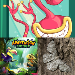 For Class: Adaptation 3.LS4.2 - Free Games and Assessments - Legends of ...