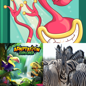 Lesson: Differences Within Species 3.LS.2 - Free Educational Games ...