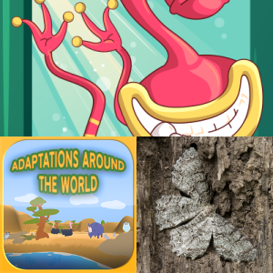 Free Homework Prep: Adaptation 3.LS4.2 - Free Educational Games ...