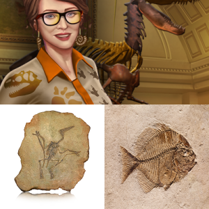 Teaching Plan: The Fossil Record 8.LS4.1 - Free Games and Assessments ...
