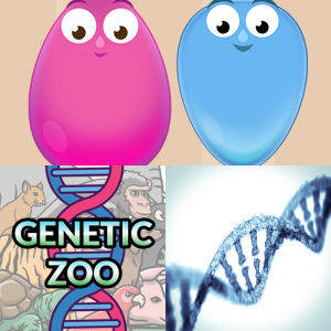 Game Based Learning: Gene Mutations and Traits MS.LS3A.b - Free Games ...