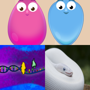 Practice: Gene Mutations MS-LS3.B-2 Assignment - Free Games and ...