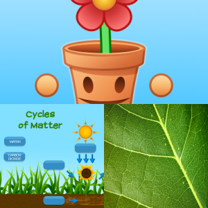For Class: Photosynthesis 4.4c - Free Games and Assessments - Legends ...