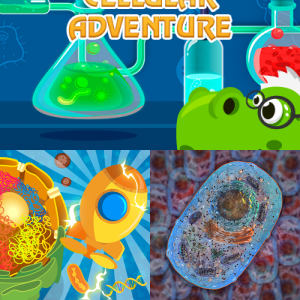 For Class: Prokaryotic and Eukaryotic Cells 6.12B - Free Educational ...