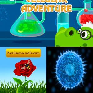 Game Based Learning: Survival of Singular vs Multicellular Organisms 5 ...