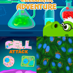 Lesson: Parts of the Cell 7.12D - Free Games and Assessments - Legends ...