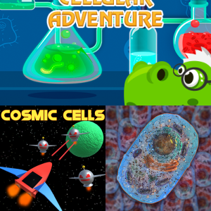 Worksheet: Prokaryotic and Eukaryotic Cells 6.12B - Free Educational ...