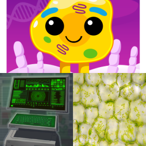 Free Educational Games: Plant vs. Animal Cells SC.6.L.14.4 - Free ...