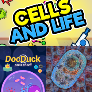 Free Educational Games: Structures and Functions of Single Celled ...