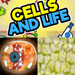 Free Educational Games: Cells 6.LS.1 - Free Educational Games - Legends ...