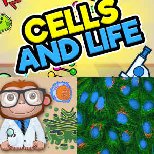 Practice: Unicellular and Multicellular Organisms LS.3b - Free Games ...