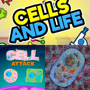 For Class: Prokaryotic and Eukaryotic Cells 6.12B - Free Educational ...