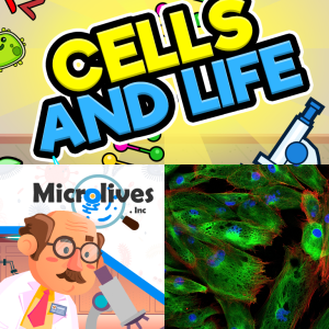 Free Homework Prep: Cells and Life MS-LS1.A-1 - Free Games and ...