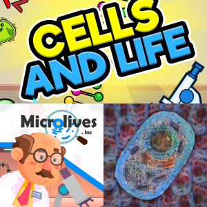 Practice: Structures and Functions of Single Celled Organisms 7.L.1.1 ...