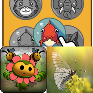 Worksheet: Structures of Plants vs Animals SC.5.L.14.2 - Free Games and ...