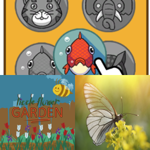 Lesson: Structures of Plants vs Animals SC.5.L.14.2 - Free Educational ...