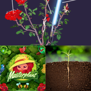 Free Lesson: Plant Structure and Function ES-LS1.A-1a - Free ...