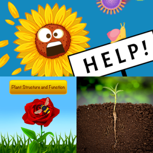 Free Homework Prep: Plant Structure and Function ES-LS1.A-1a - Free ...