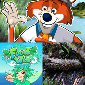 Worksheet: Cycles of Matter and Energy Transfer in Ecosystems ES-LS2.B ...