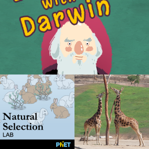 Practice: Natural Selection MS-LS4.B-1 - Free Games and Simulations ...