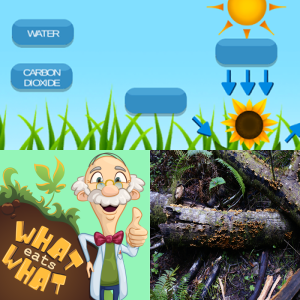 Free Homework Prep: Cycles of Matter and Energy Transfer in Ecosystems ...