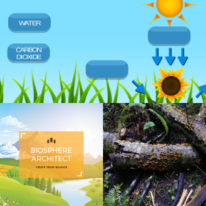 Free Homework Prep: Cycles of Matter and Energy Transfer in Ecosystems ...
