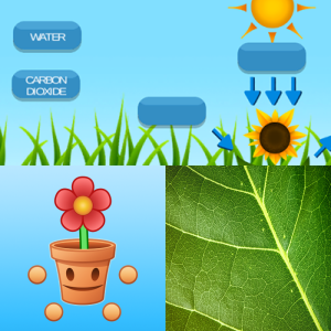 Worksheet: Photosynthesis 4.2a - Free Educational Games - Legends of ...