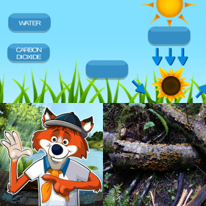 Teaching Plan: Cycles Of Matter And Energy Transfer In Ecosystems UE ...