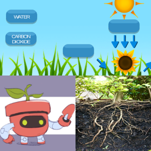 For Class: Plant Needs 3.1.4.A2-1b - Free Games and Assessments ...