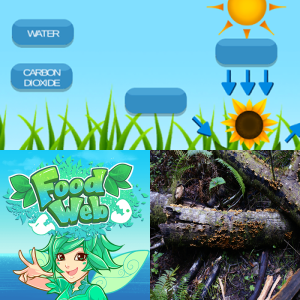 Game Based Learning: Cycles of Matter and Energy Transfer in Ecosystems ...