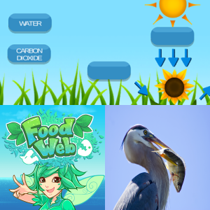 Lesson: Flow of Energy in the Food Chain SC.4.L.17.3 - Free Educational ...