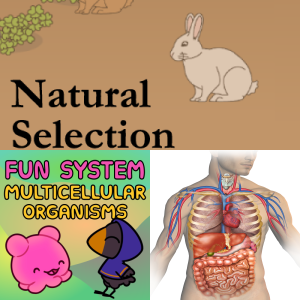 Free Educational Games: Fun System: Multicellular Organisms - Free ...