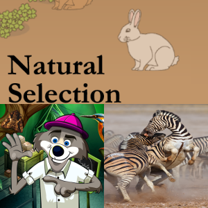Free Educational Games: Natural Selection 1 - Free Games and ...