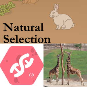 For Class: Natural Selection 8.LS4.4 - Free Games and Simulations ...