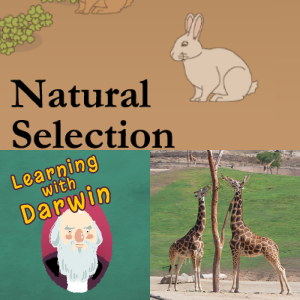Game Based Learning: Natural Selection MS-LS4.B-1 - Free Games ...