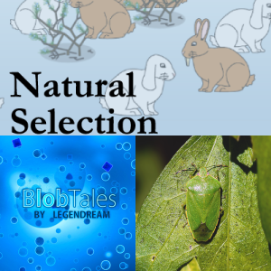 Game Based Learning: Genetic Variation and Adaptation 8.L.4.2 - Free ...