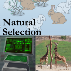 Lesson: Natural Selection MS-LS4.B-1 - Free Games and Simulations ...