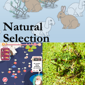 Teaching Plan: Environmental Changes and Population Size LS.8b - Free ...