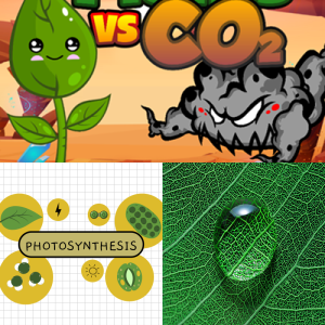 Free Educational Games: Chemical Reactions in Photosynthesis 7-PS3.D-1 ...