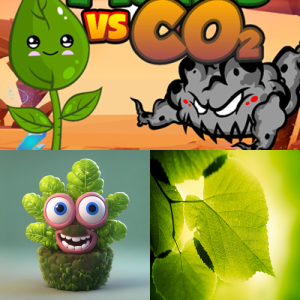 Practice: Photosynthesis MS-LS1.C-1 - Free Games and Assessments ...