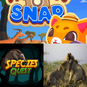 Free Educational Games: Competition for Resources In Ecosystems 6.12A ...