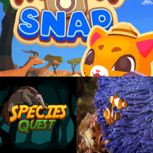 Game Based Learning: Competitive, Predatory, and Mutually Beneficial ...