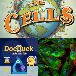 Teaching Plan: Cell Theory - Free Games, Assessments, and Videos ...