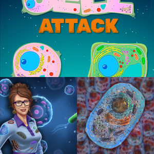 Worksheet: Prokaryotic and Eukaryotic Cells 6.12B - Free Games and ...