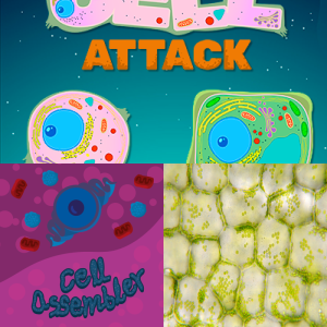 Lesson: Basic Parts of Animal and Plant Cells - Free Games and ...