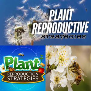 Practice: Plant Reproduction Strategies MS-LS1.B-2 - Free Games and ...