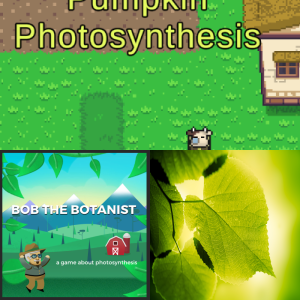 Worksheet: Photosynthesis MS-LS1.C-1 - Free Games and Assessments ...